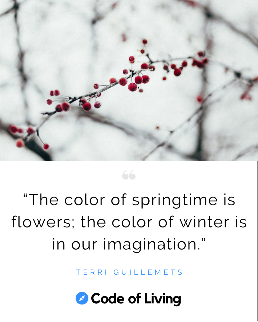 45 Color Quotes To Beautify Your And Others' Life | Code of Living